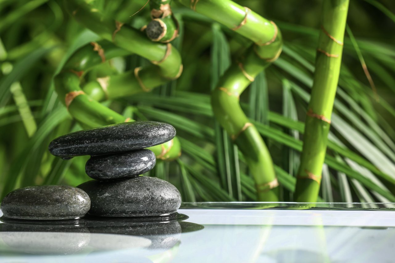 What is a CDP, and What is Digital Feng Shui?